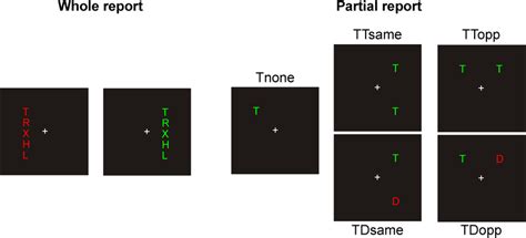 Tva Tasks Whole And Partial Report In The Whole Report Task Subjects