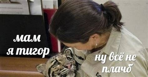 Тигор Пикабу