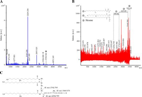 Maldi Tof And Maldi Tof Tof Analysis Of The N Terminal Peptides Of Download Scientific Diagram