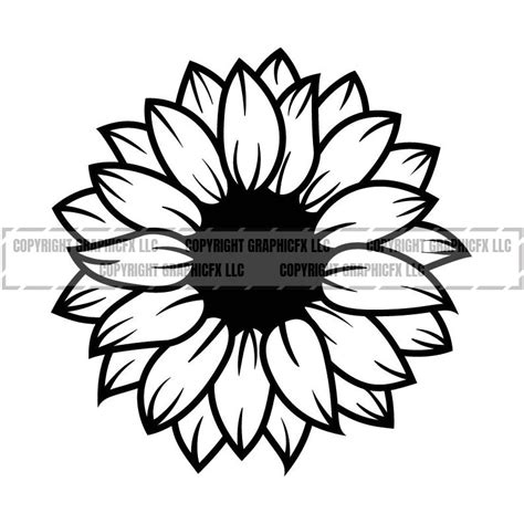 Descarga Digital De Girasol Vector Eps Dxf Svg Png Cortador De Vinilo Listo Camiseta