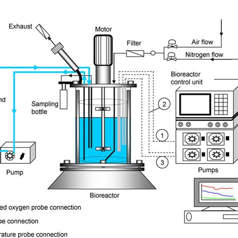 Ultrasound Assisted Batch Fermentation System Download Scientific Diagram