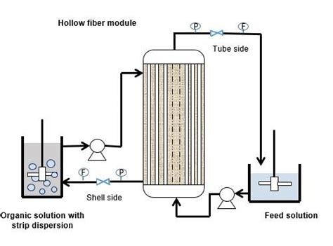 Schematic Presentation Of The Experimental Set Up Download Scientific Diagram
