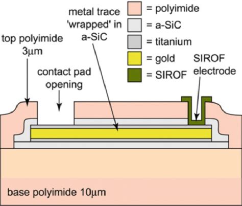 6 Electrode Array Fabrication Schematic Cross Section Diagram Showing Download Scientific