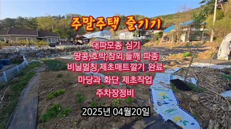 벌써 잡초와의 전쟁 Youtube