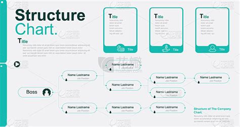 公司结构。业务层次结构、组织结构图、信息图。公司组织结构图形要素。股票插图 信息图表，组织图表，图表