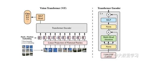 图解vit 1：vision transformer——图像与transformer基础 知乎