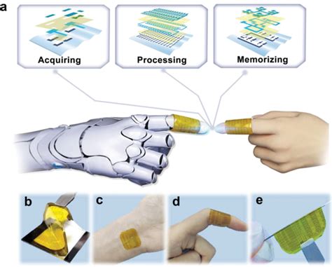 The Fabricated Flexible Electronics A The Fabricated Flexible Download Scientific Diagram