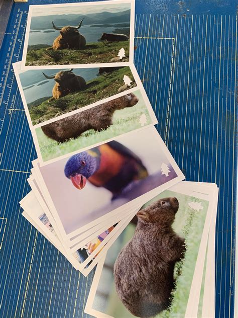 Japan Analog Guide Labs R Analogcommunity