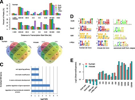 General Feature Comparison Of Oskm Chip Seq Peaks Between Human And Download Scientific Diagram
