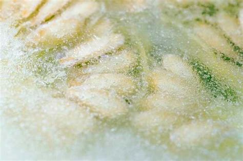 Impact Of Temperature And Humidity On Resin Curing