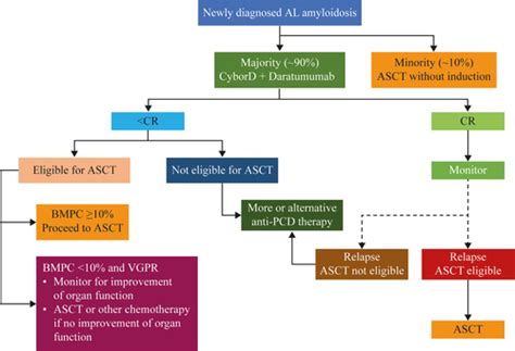 Al Amyloidosis For Cardiologists Awareness Diagnosis And Future
