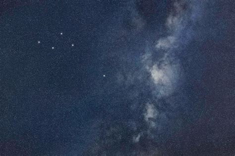 Premium Photo Delphinus Constellation Cluster Of Stars Dolphin Constellation