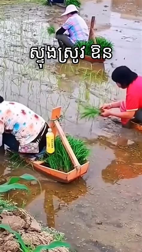 ម ក រៀ ន ធ្វើ នំ ប៉ោ ង ចែករំលែកចំណេះដឹង អបរំខ្លី គនិតអប់រំ អបរំគំនិត អបរំសីលធម៌ អបរំជីវិត