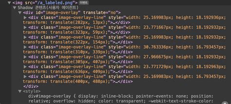 Javascript How To Get Rid Of Shadow Content Force Injected By Macos