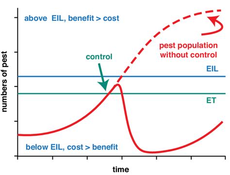 The Relationship Between Pest Numbers Over Time And Calculation Of The Download Scientific