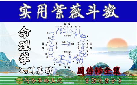 周信軫正解合集中国传统命理学入门基础实用紫薇斗数 全集 紫微星座天相贪狼在午 哔哩哔哩