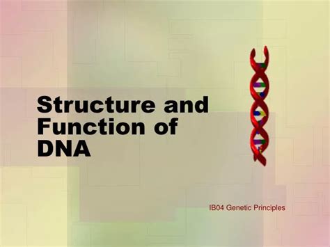 PPT Structure And Function Of DNA PowerPoint Presentation Free Download ID 3694765
