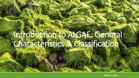 Introduction To Algae And Its Classification Ppt