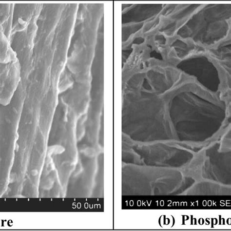 Sem Analysis Of Sisal Fiber Based Activated Carbon Download Scientific Diagram