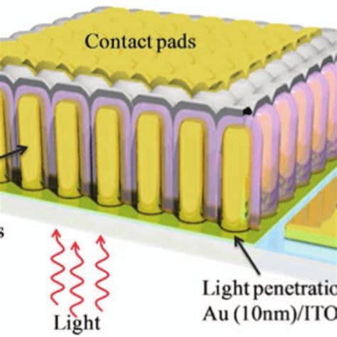 Pdf Insight Into Plasmonic Hot Electron Transfer And Plasmon Molecular Drive New Dimensions