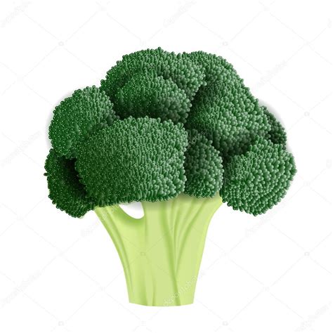 현실적인 브로콜리 벡터 일러스트 레이 션 — 스톡 벡터 © Blackspring1 38303615