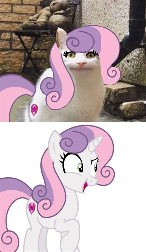 Создать мем свити белль Sweetie Belle мой маленький пони свити бель Картинки Meme