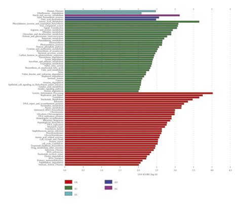 Lda Metabolic Pathway Bar Graphs Of Lda Value Distribution Showing