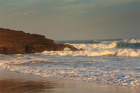 일출에 대서양에 놀라운 풍경 해안모래 해변을 달리는 거품이 많은 파도와 하늘에서 날아다니는 새들의 모습 자연 배경의 개념 포르투갈 0명에 대한 스톡 사진 및 기타 이미지