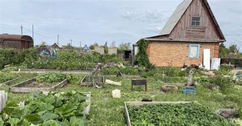 Ми з чоловіком збирали гроші для дітей але ніхто з них не знав про це А коли чоловік захво рів