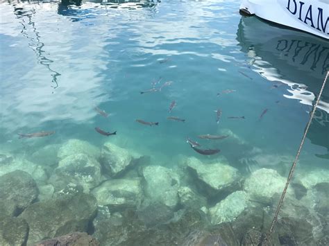 Microsoft Cognitive Toolkit Big Data Mining And Machine Learning