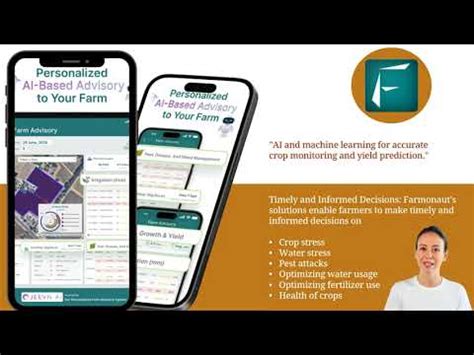 How Many Palm Trees Per Acre Optimal Yield Guide