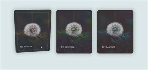 Top 20 Card Designs Codepen With HTML CSS