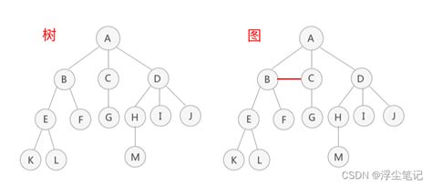 数据结构与算法12：图、广度优先、深度优先 图广度优先 csdn博客
