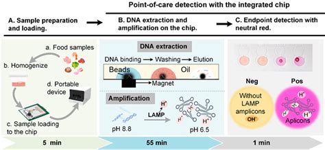 Figure 1 From An All In One Platform For On Site Multiplex Foodborne Pathogen Detection Based On