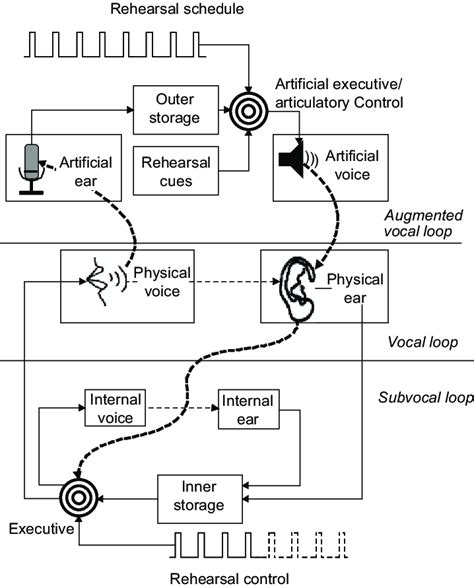 Conceptual Diagram Showing Operation Of The Rearticulation Artificial