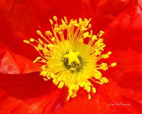 Comprehensive Genomic Profiling Cgp