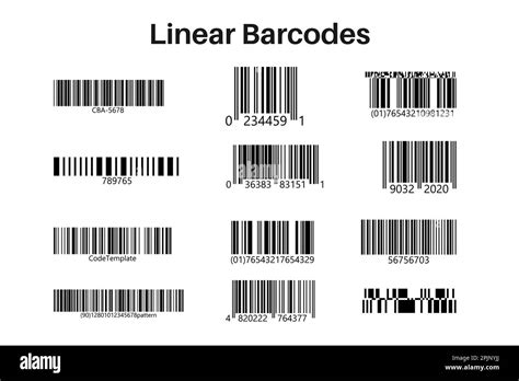 Set Of Linear Barcodes Codes On Isolated Background Vector Illustration Stock Vector Image