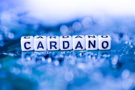 Cardano Ada First In The Ranking For Development Activities On Github