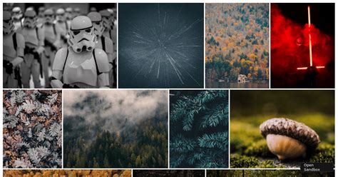 React Collapsible Gallery Codesandbox