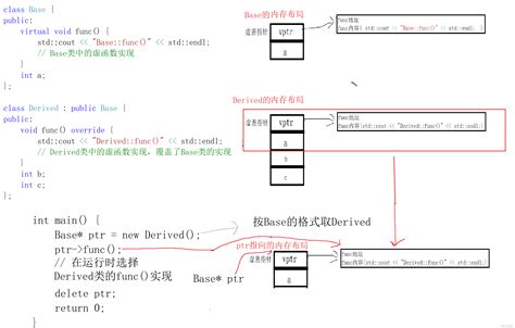 C虚表与动态绑定：实现多态的关键 Csdn博客