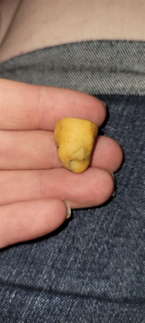 Is This A Fossilized Tooth R Fossils