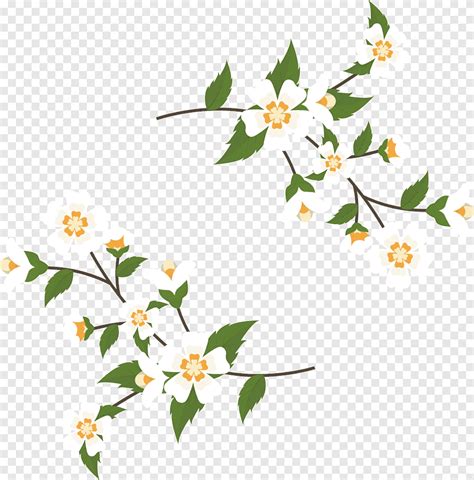 흰 꽃 그림 아라비아 자스민 유클리드 플로랄 디자인 재스민 지팡이 제목 상자 기타 꽃 배열 Png Pngegg