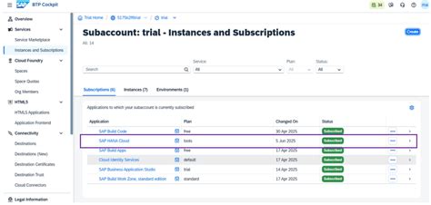 Build And Deploy A Full Stack Sap Capm App With Fi Sap Community