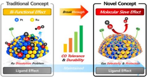 Researchers Create A Highly Co Tolerant Anode Catalyst For Fuel Cells Assignment Point