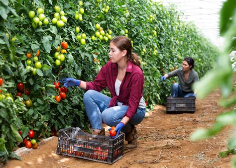 Seasonal Workforce Attraction And Retention Madec Australia