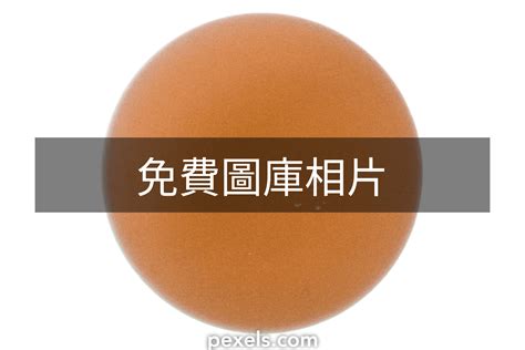 最佳 سكسبناتبيضوسمينات 相片 · 100 免費下載 · Pexels 圖庫相片