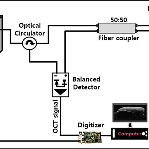 Schematic Representation Of The Swept Source Optical Coherence Download Scientific Diagram