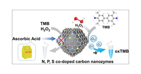 N P S Codoped Carbon Nanozymes With Enhanced Peroxidase Like Activity