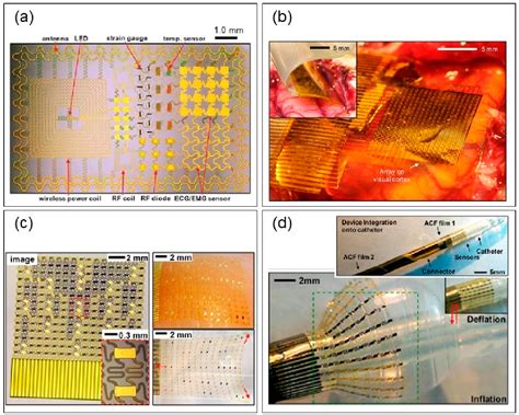 Figure 2 From Recent Progress On Microelectrodes In Neural Interfaces