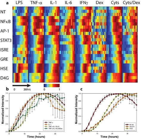 Figure 1 From A High Throughput Microfluidic Real Time Gene Expression